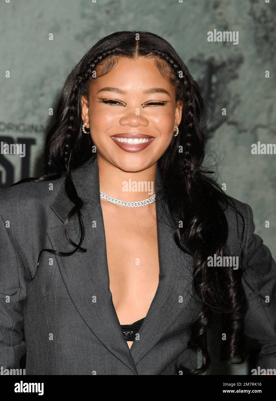 Los Angeles, California, USA. 09th Jan, 2023. Storm Reid attends the ...