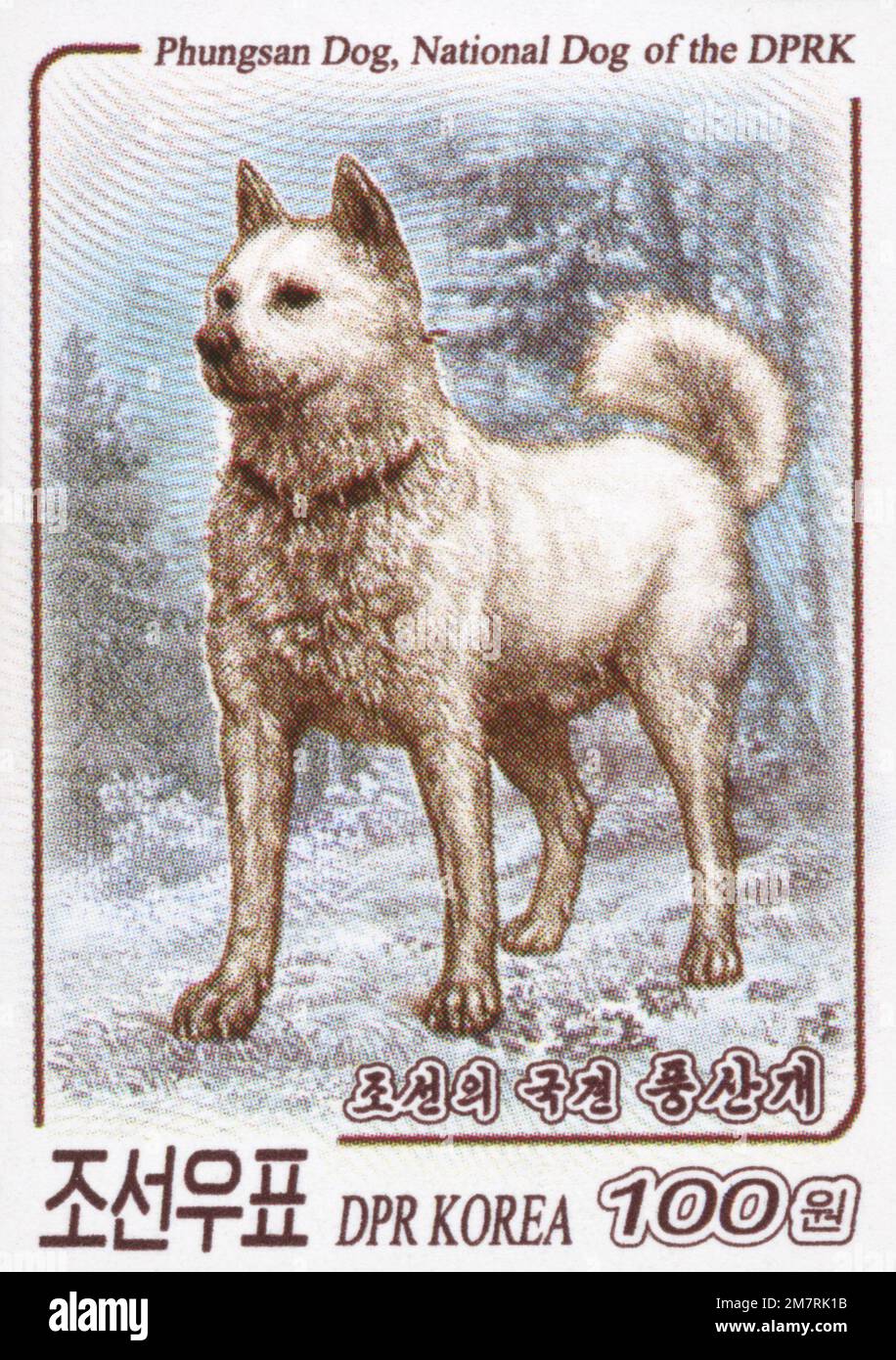 Are Pungsan Dog Aggressive