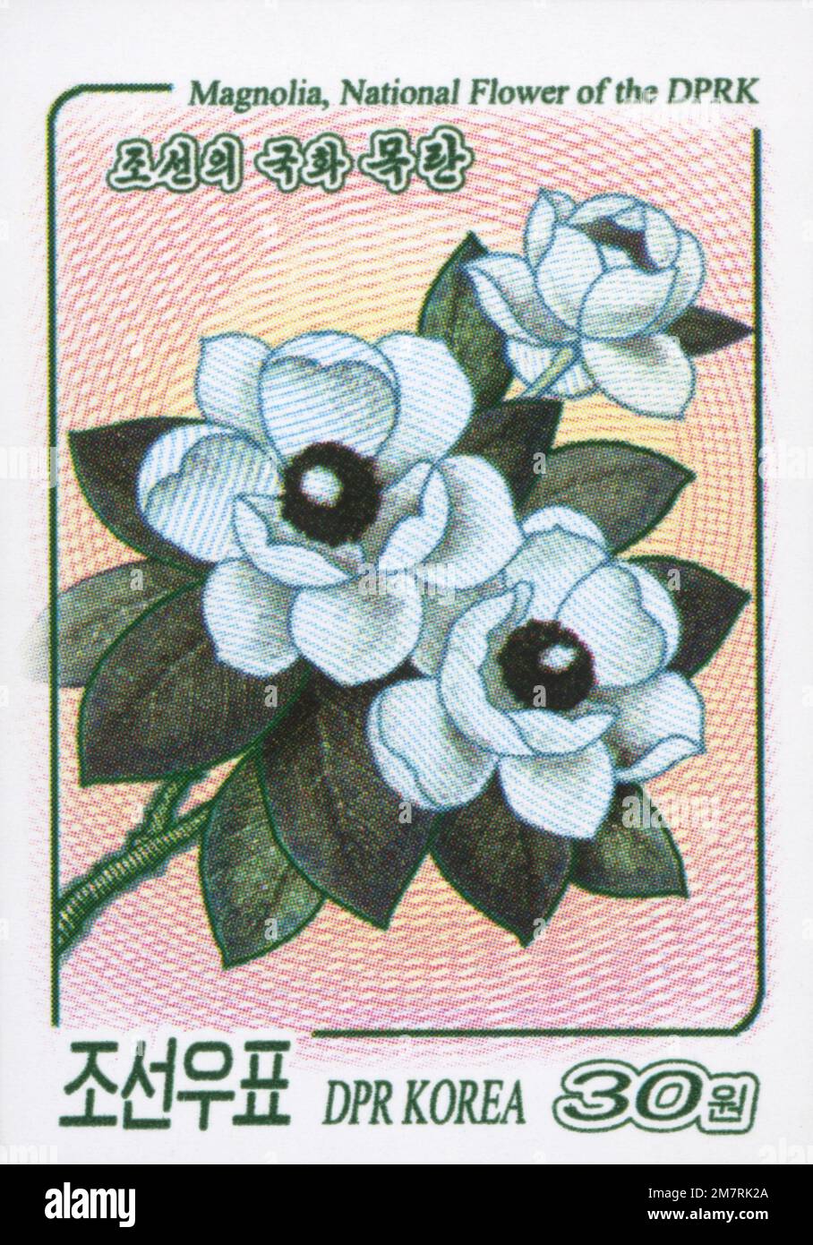 North Korean National Flower