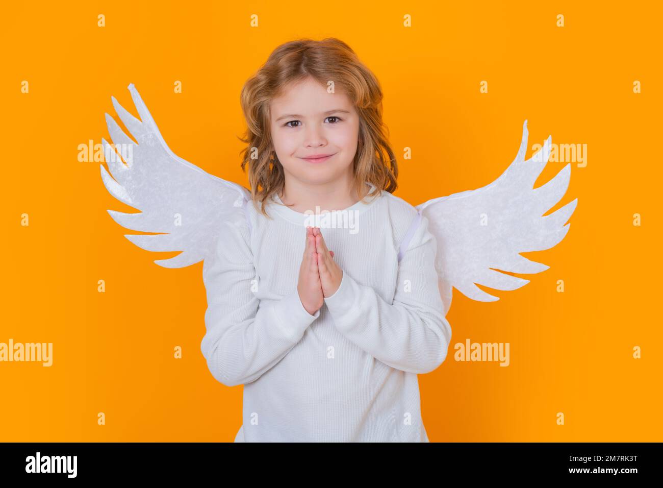 Christmas kids. Little cupid angel child with wings. Studio portrait of ...