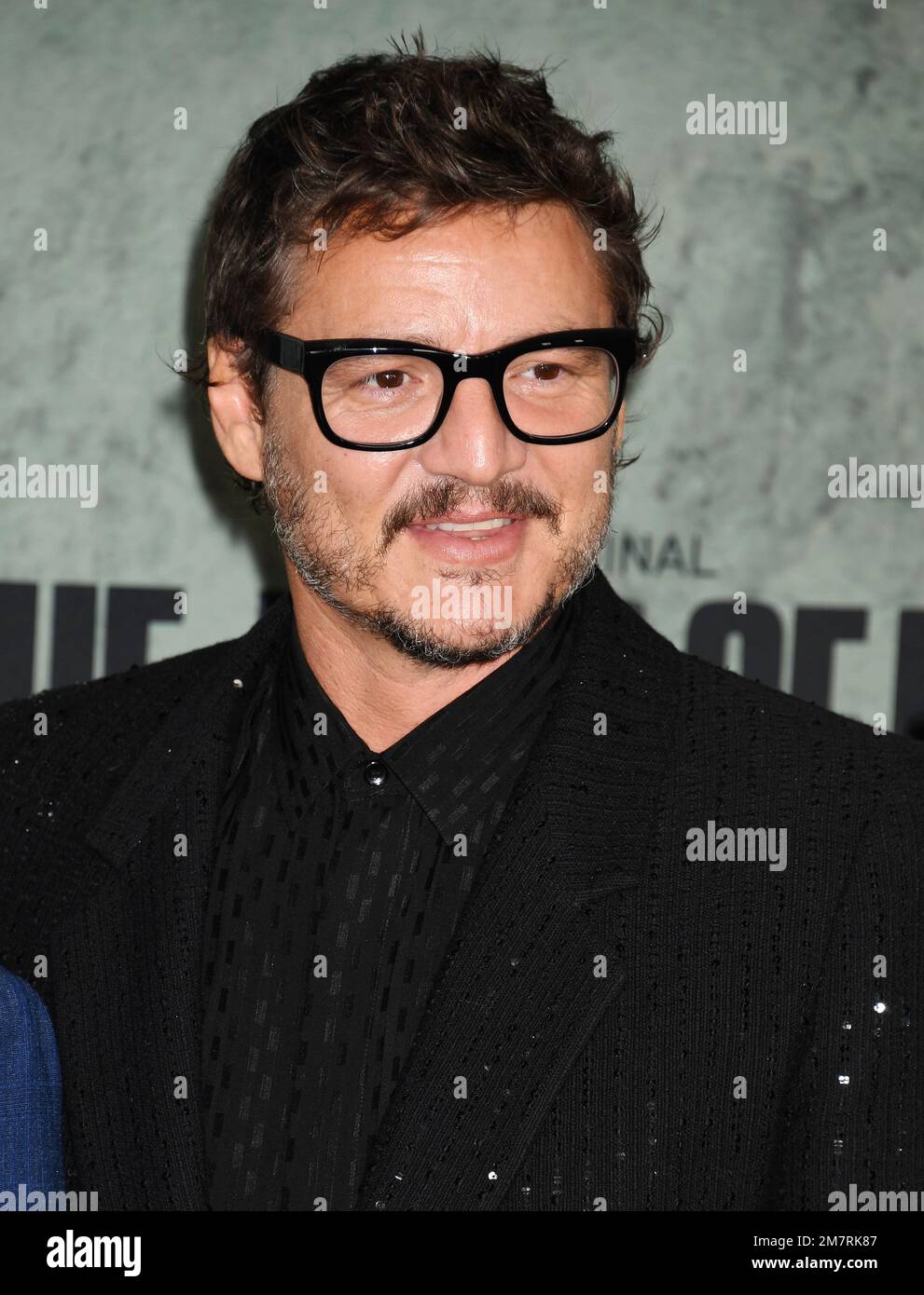 Los Angeles, California, USA. 09th Jan, 2023. Pedro Pascal attends the ...