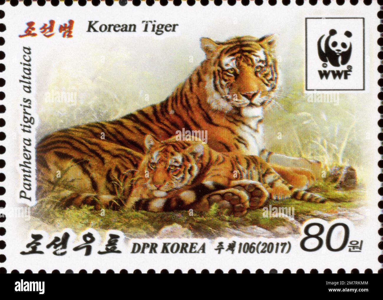 2017 North Korea stamp set. Korean Tiger, Panthera tigris altaica Stock ...