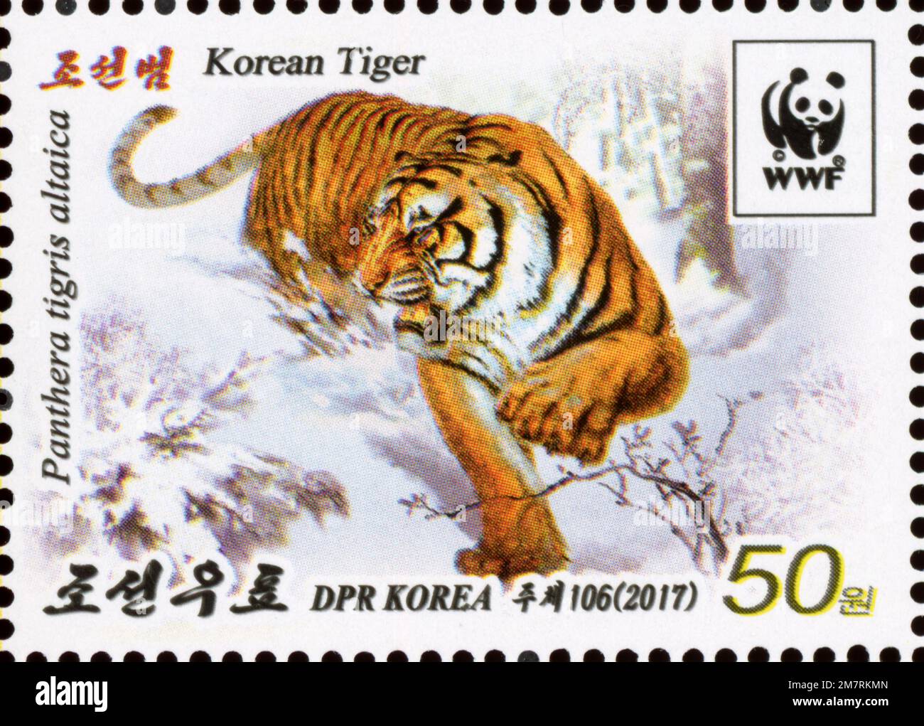 Korean tiger hi-res stock photography and images - Alamy