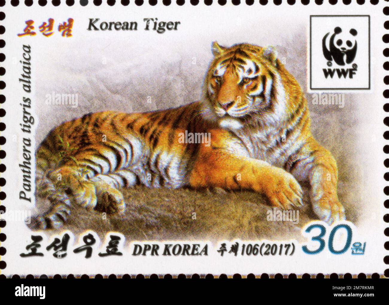2017 North Korea stamp set. Korean Tiger, Panthera tigris altaica Stock ...