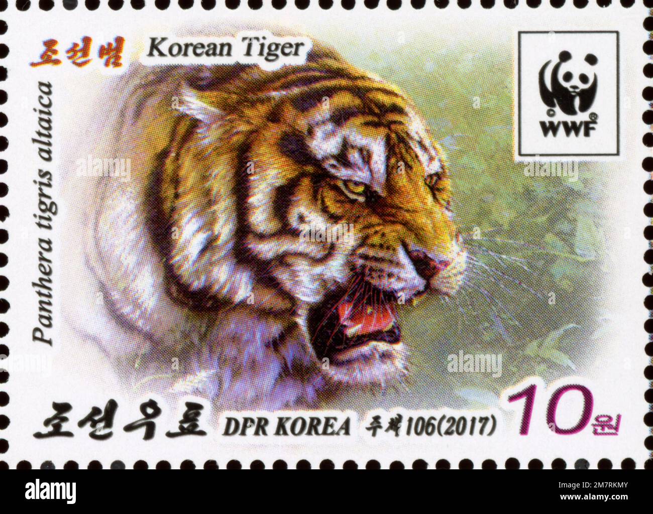 2017 North Korea stamp set. Korean Tiger, Panthera tigris altaica Stock ...