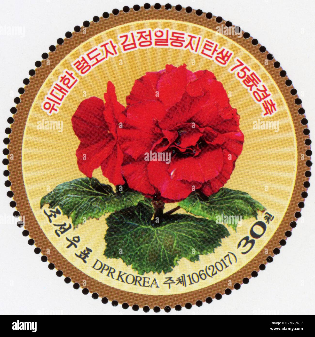2017 North Korea stamp. Kim Jong Il flower. Kimjongilia. Begonia × ...