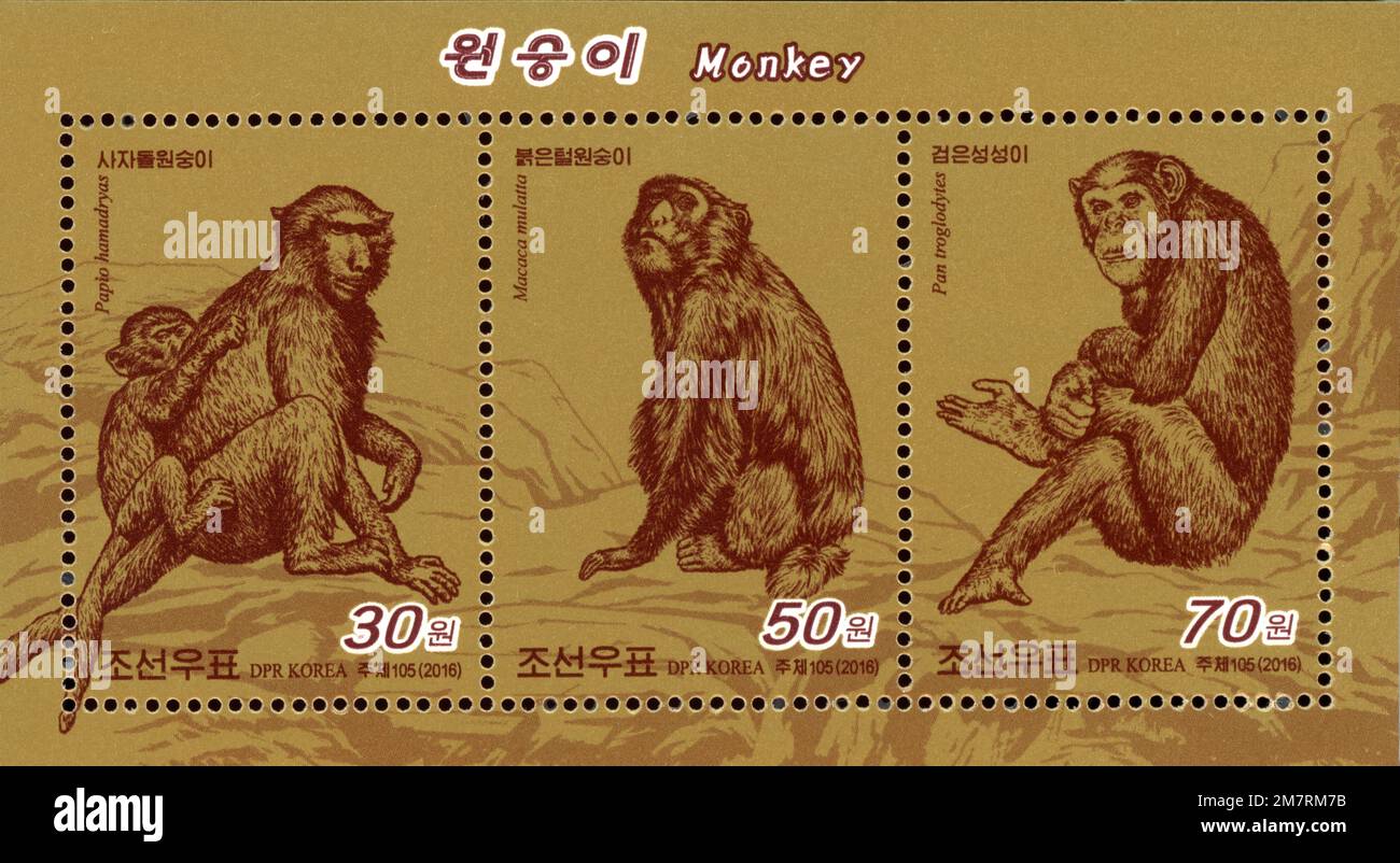 Monkey 2016 chinese hi-res stock photography and images - Alamy