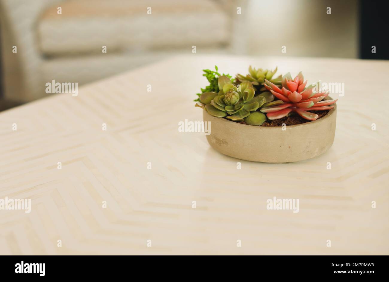 Plants interior decoration green pot arrangements Stock Photo - Alamy