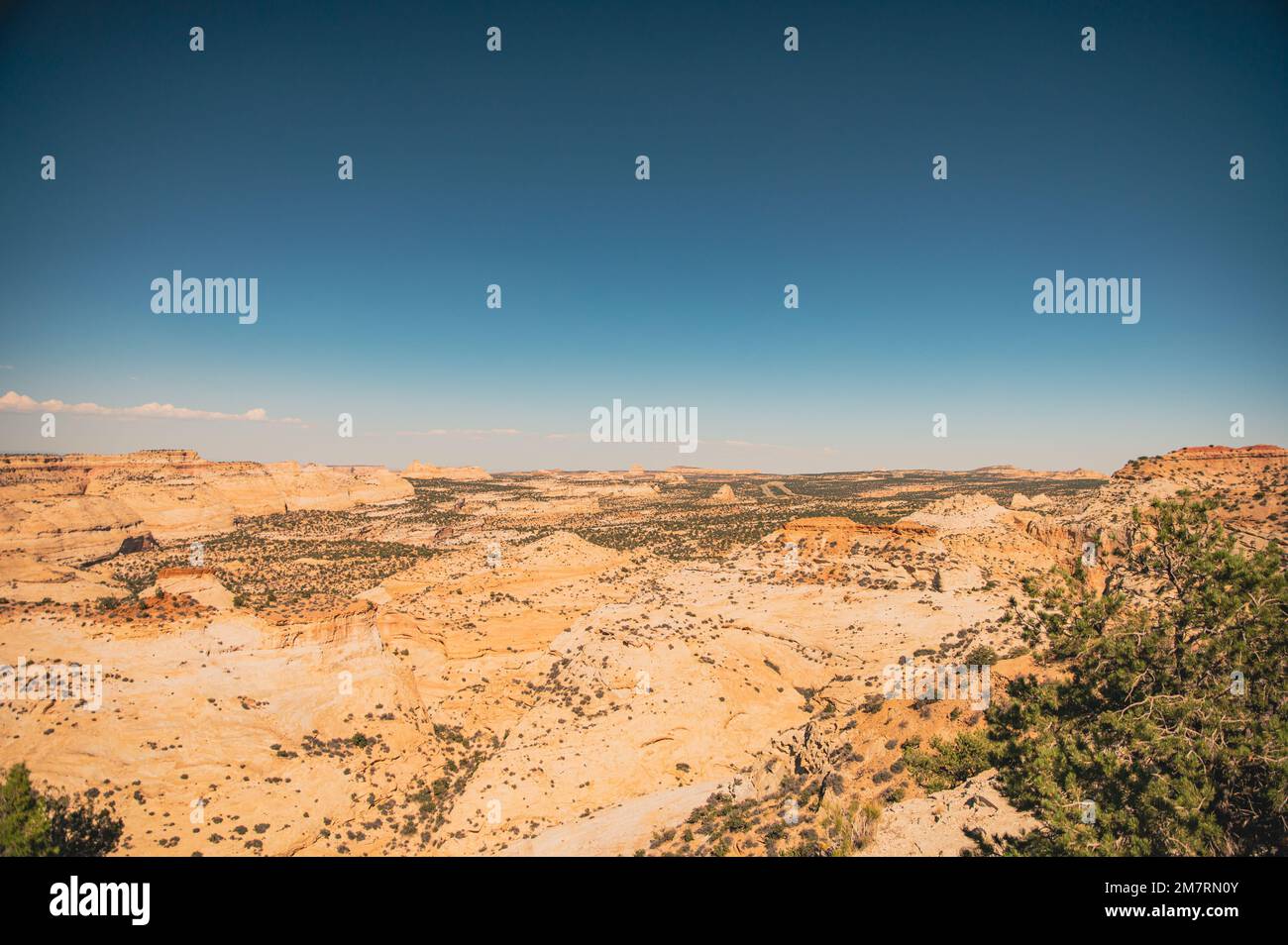 Desert landscape in rural Utah Stock Photo - Alamy