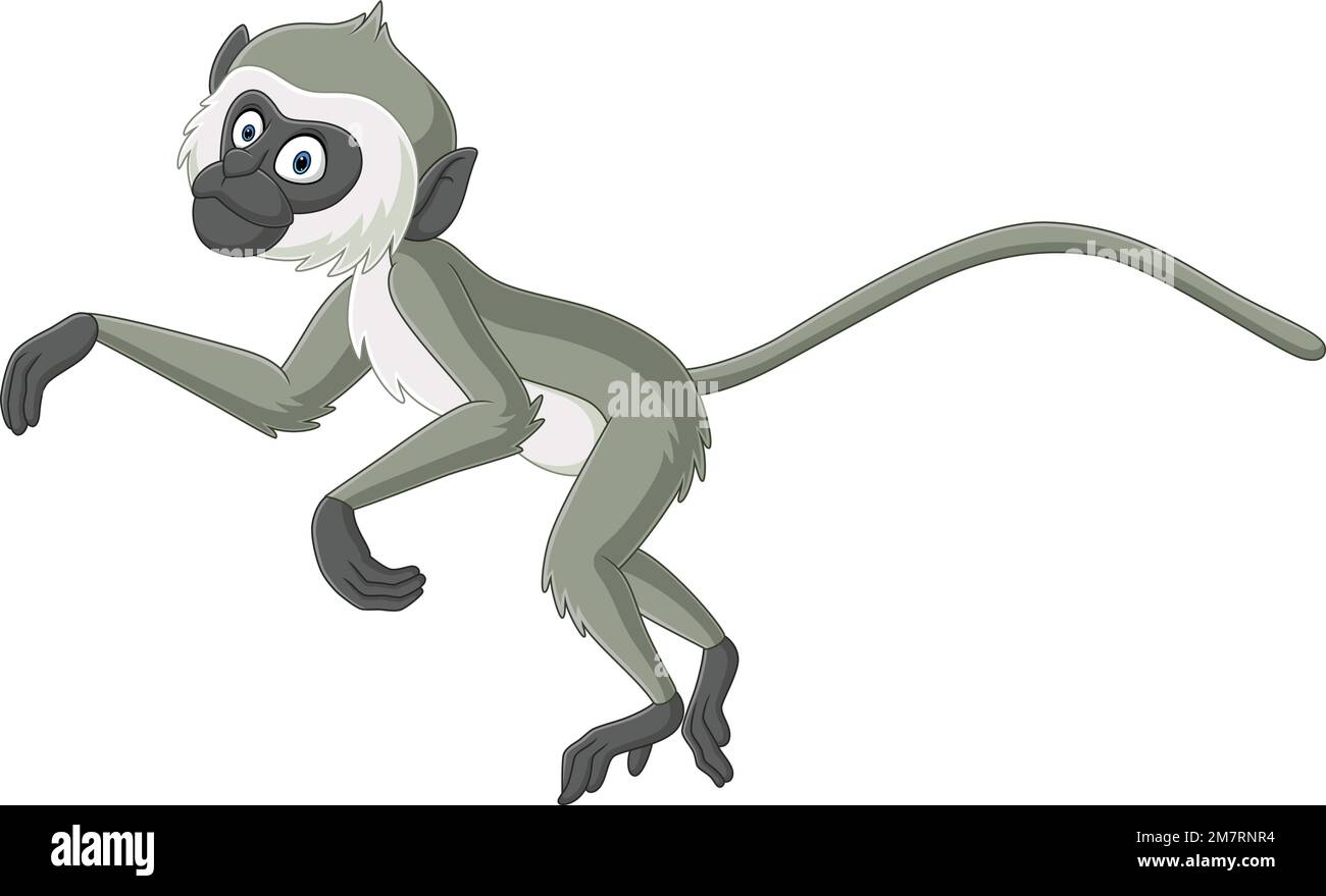 Cute Grey langur monkey cartoon Stock Vector Image & Art - Alamy