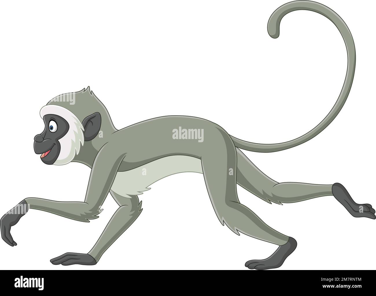 Cute langur monkey cartoon running Stock Vector Image & Art - Alamy