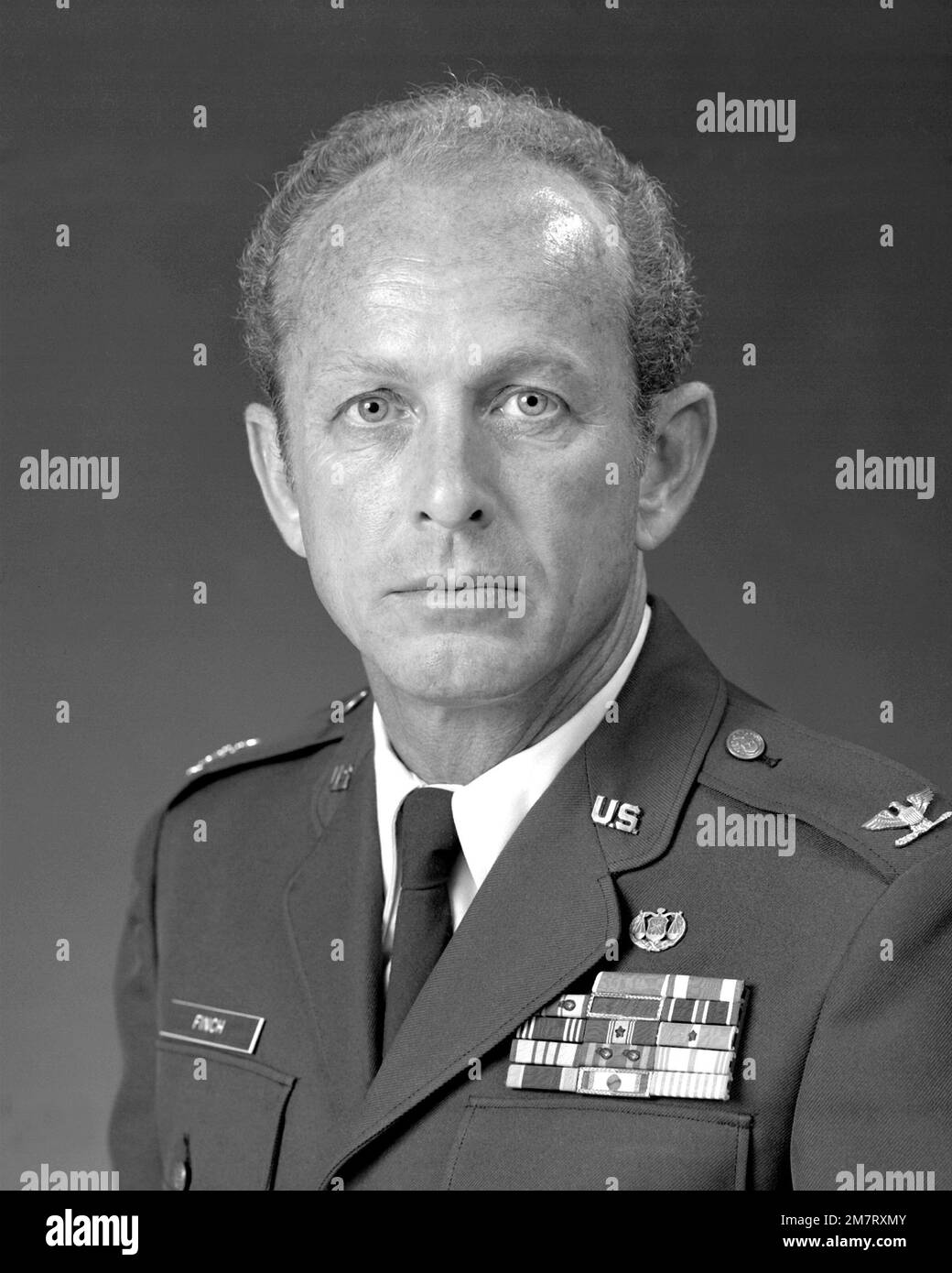 Col finch hi-res stock photography and images - Alamy