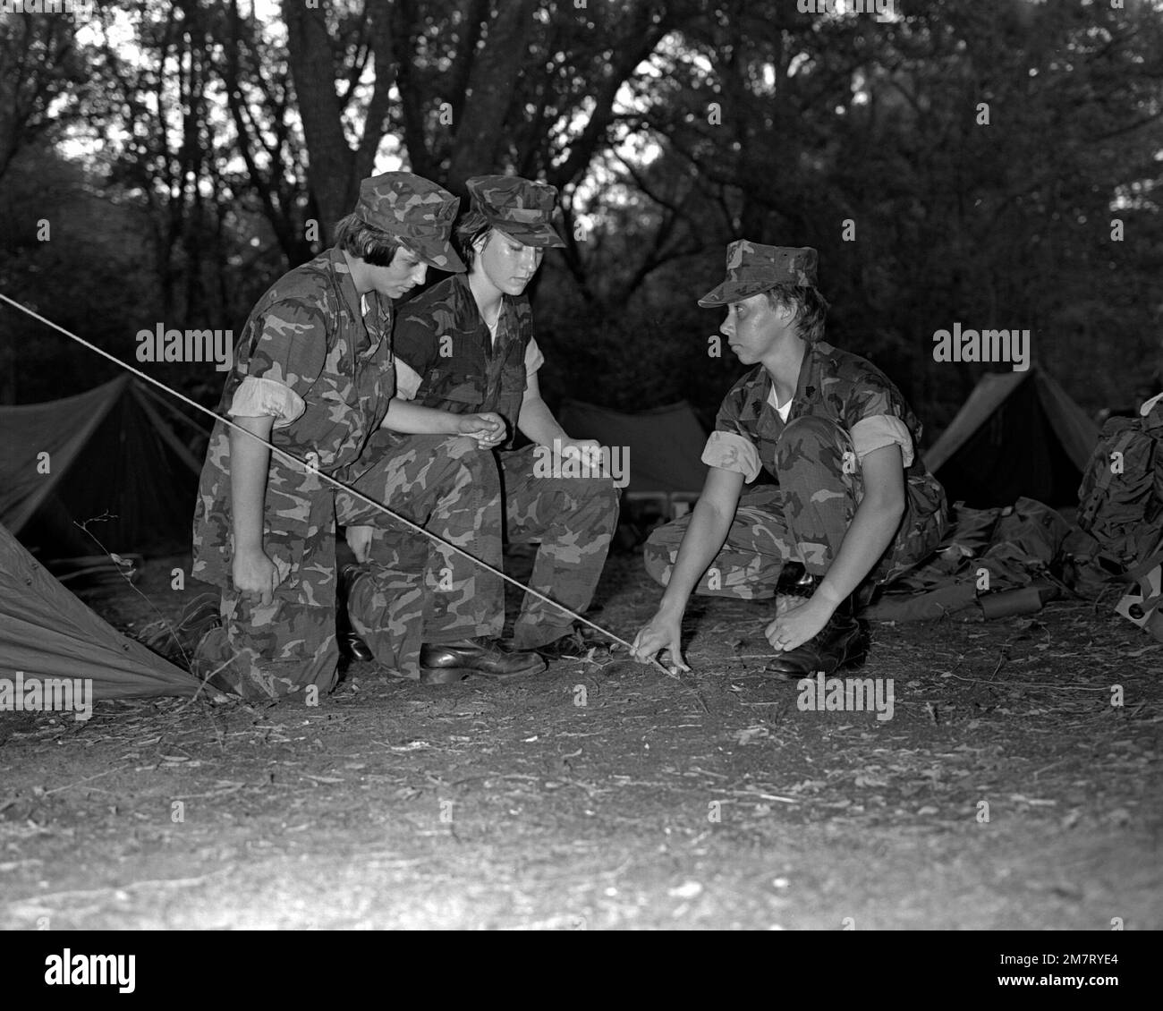 SGT. Ford, a drill instructor, shows PVT. Lemieux, left, and PVT ...