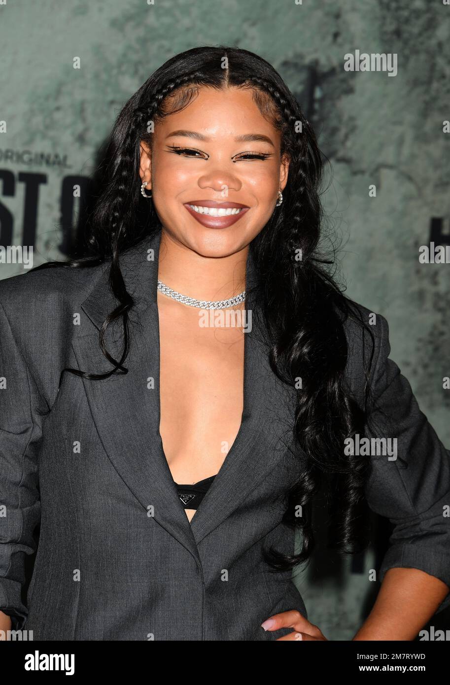LOS ANGELES, CALIFORNIA - JANUARY 09: Storm Reid attends the Los ...