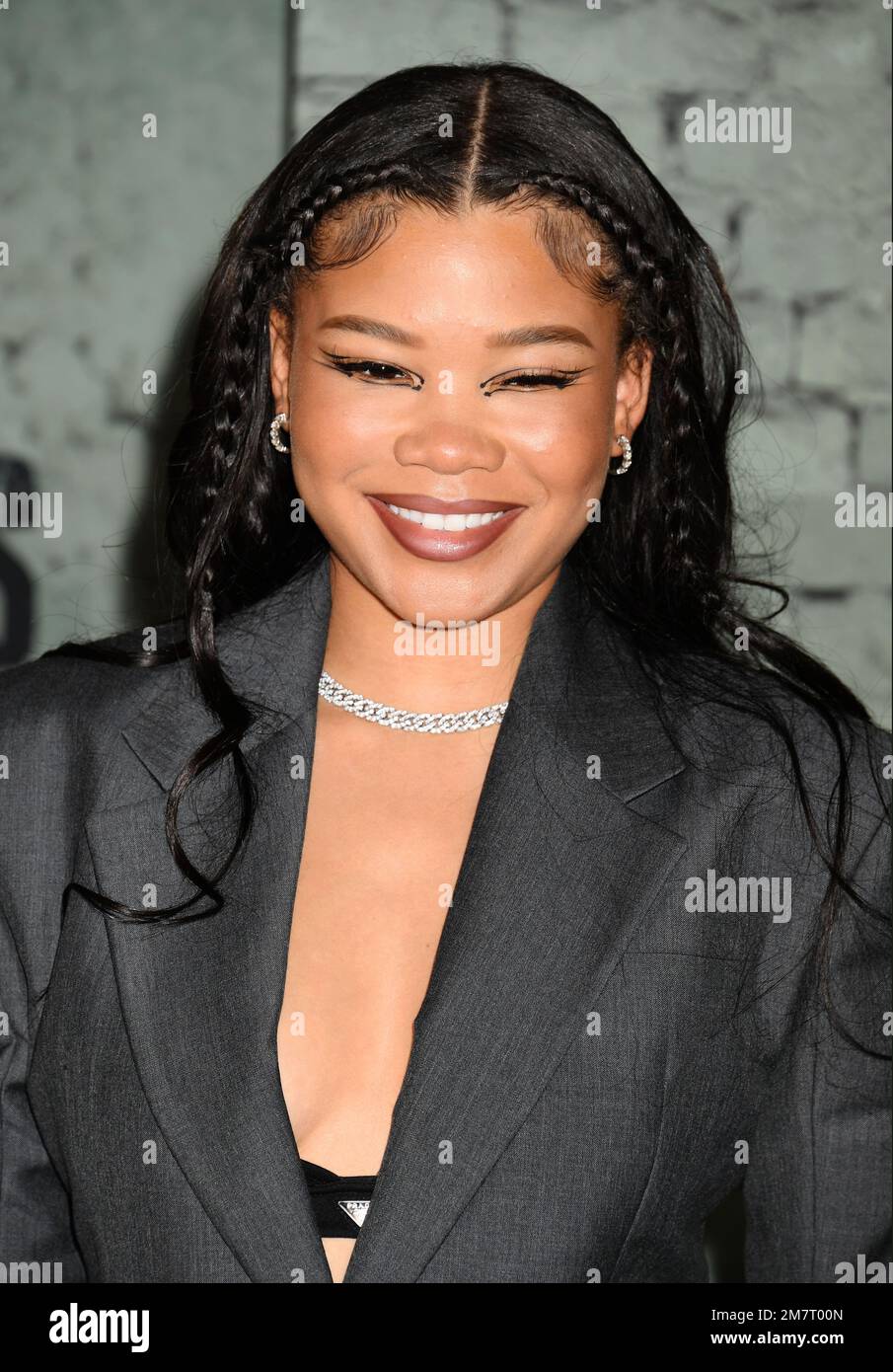 LOS ANGELES, CALIFORNIA - JANUARY 09: Storm Reid attends the Los ...