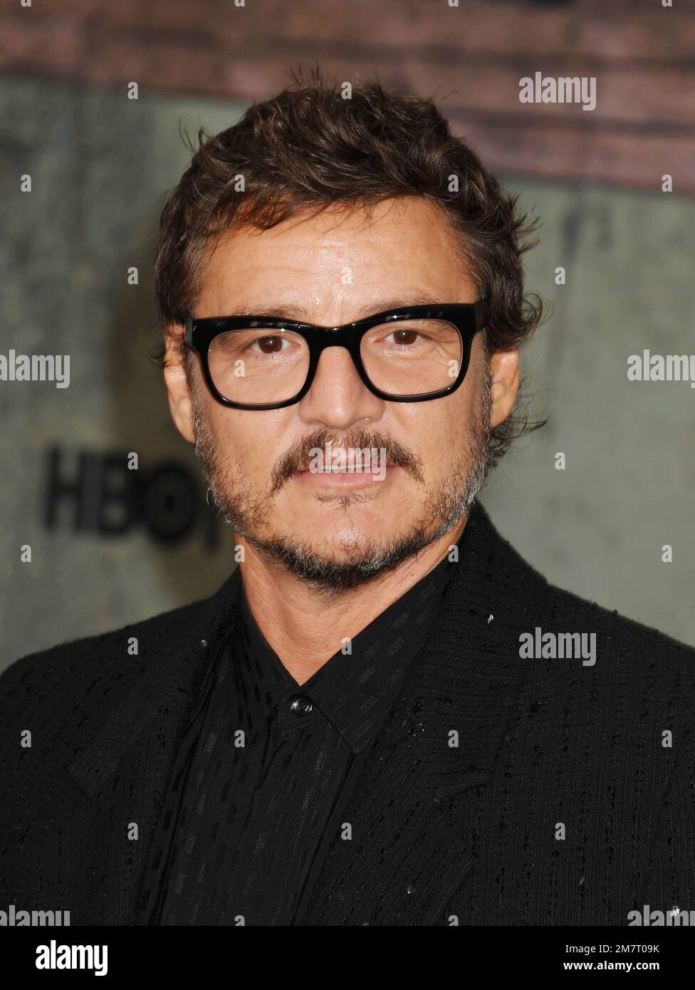 LOS ANGELES, CALIFORNIA - JANUARY 09: Pedro Pascal attends the Los ...