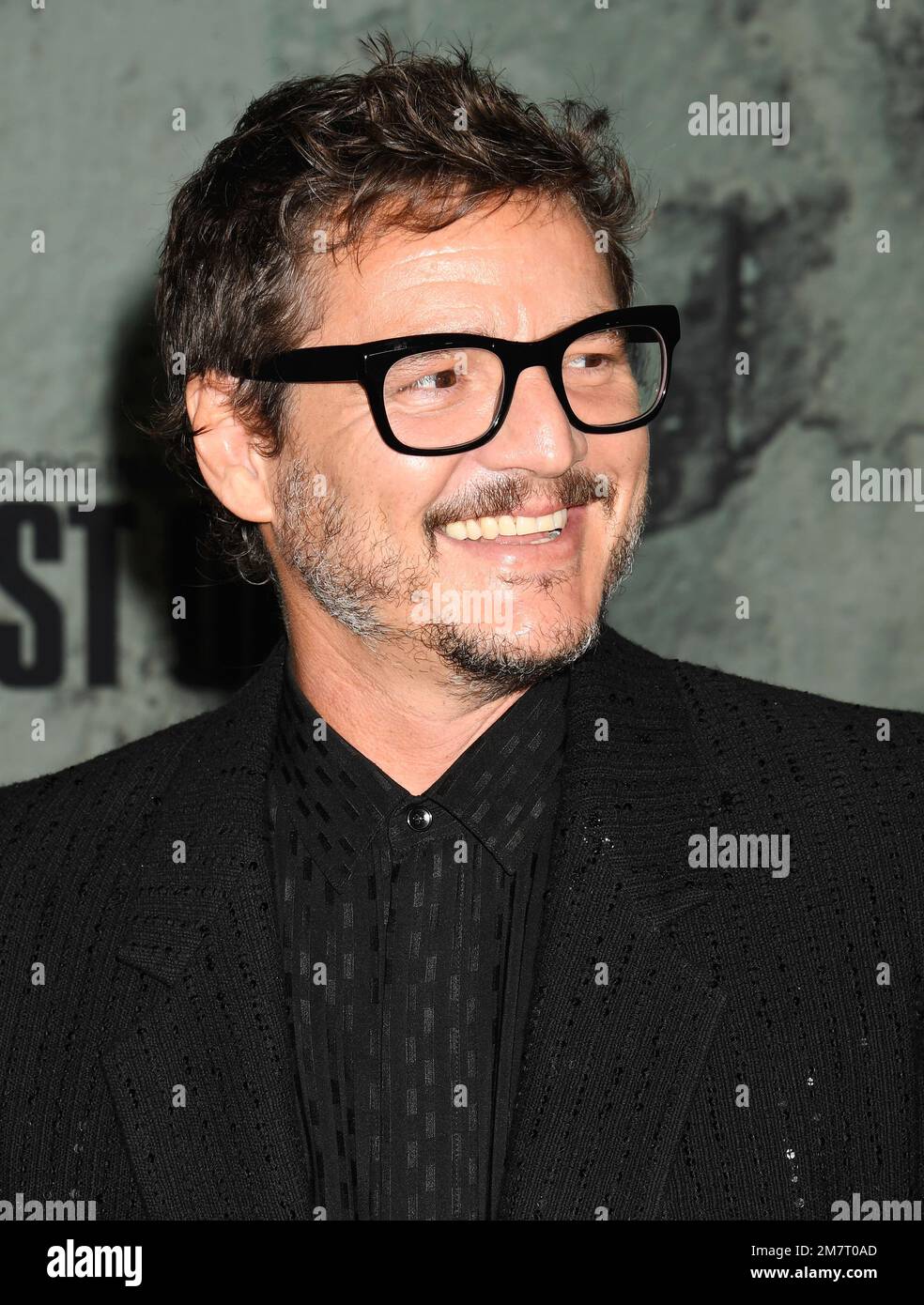 LOS ANGELES, CALIFORNIA - JANUARY 09: Pedro Pascal attends the Los ...