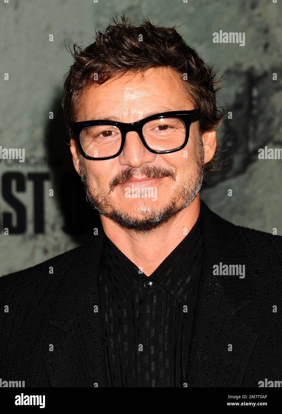 LOS ANGELES, CALIFORNIA - JANUARY 09: Pedro Pascal attends the Los ...