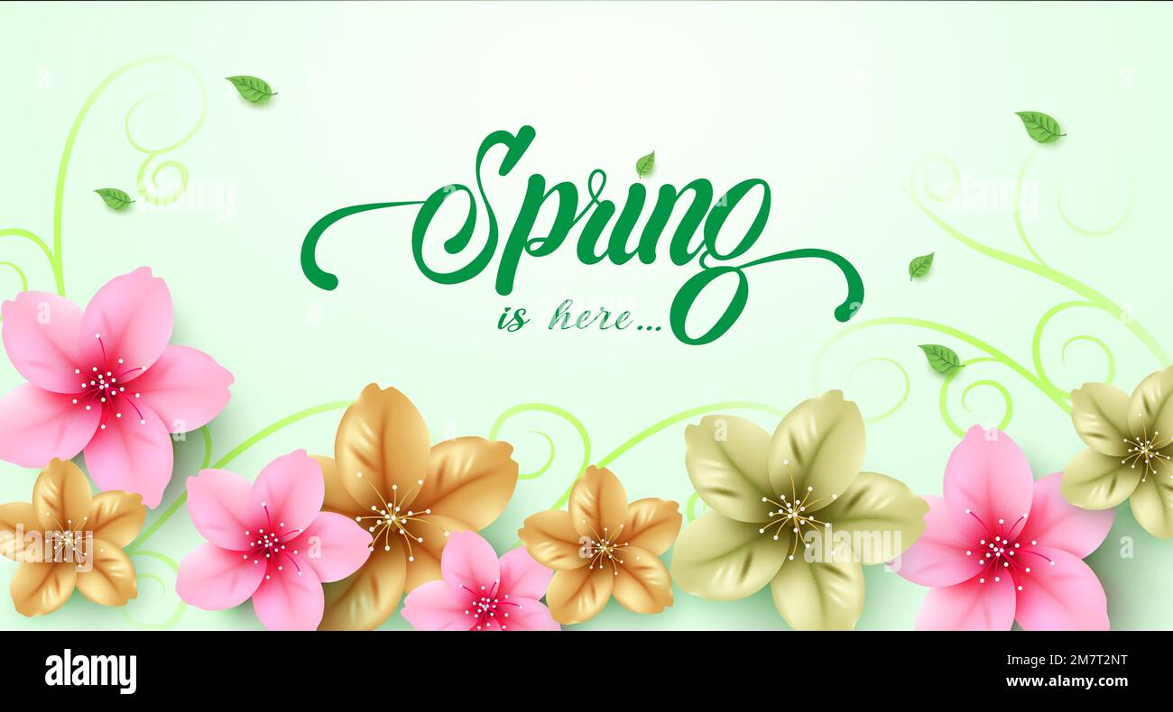 Spring text vector background design. Spring is here greeting ...