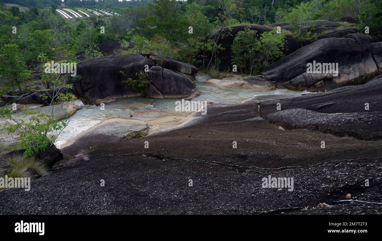 Tropical Green Forest, River Flow And Mountain Rock Formation Array ...