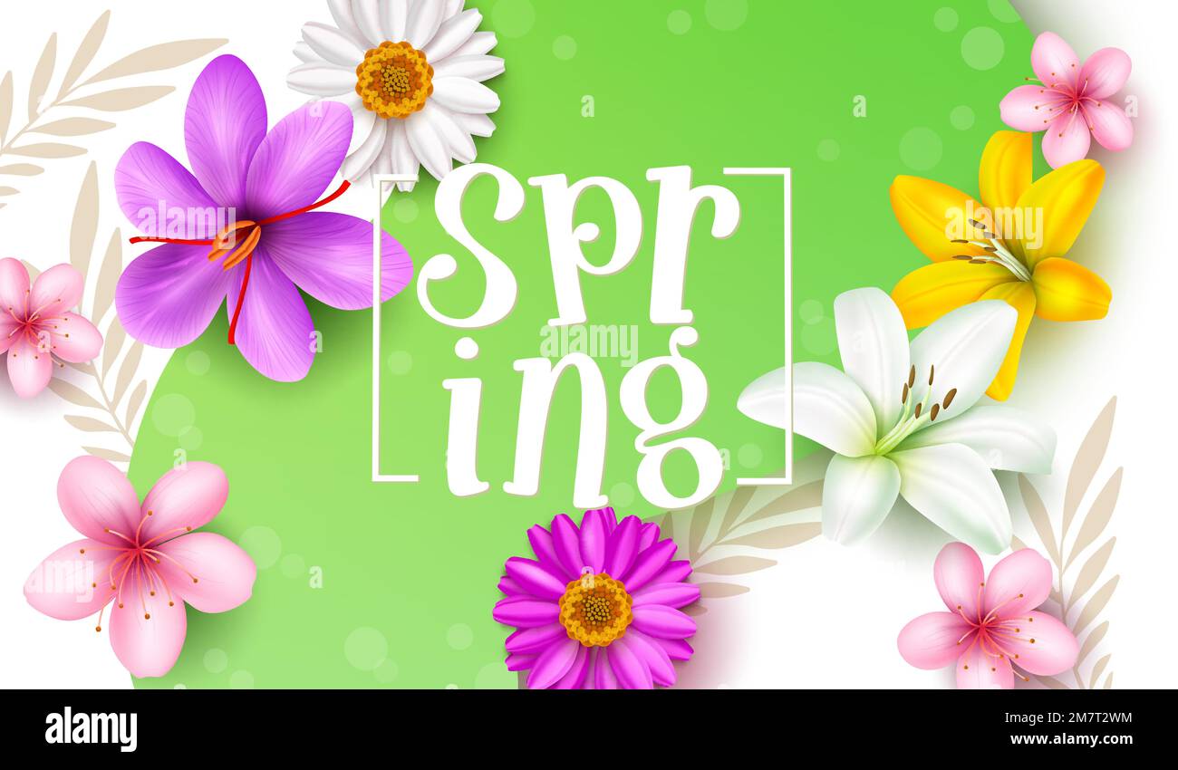 Spring text vector template design. Spring typography in frame space ...