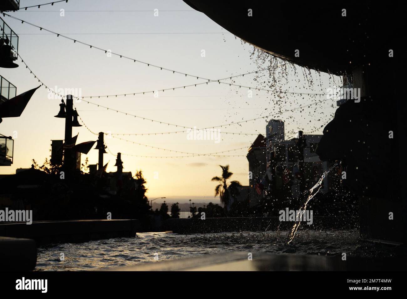 aThis photo is taken focusing on the background. Taken with very high ...