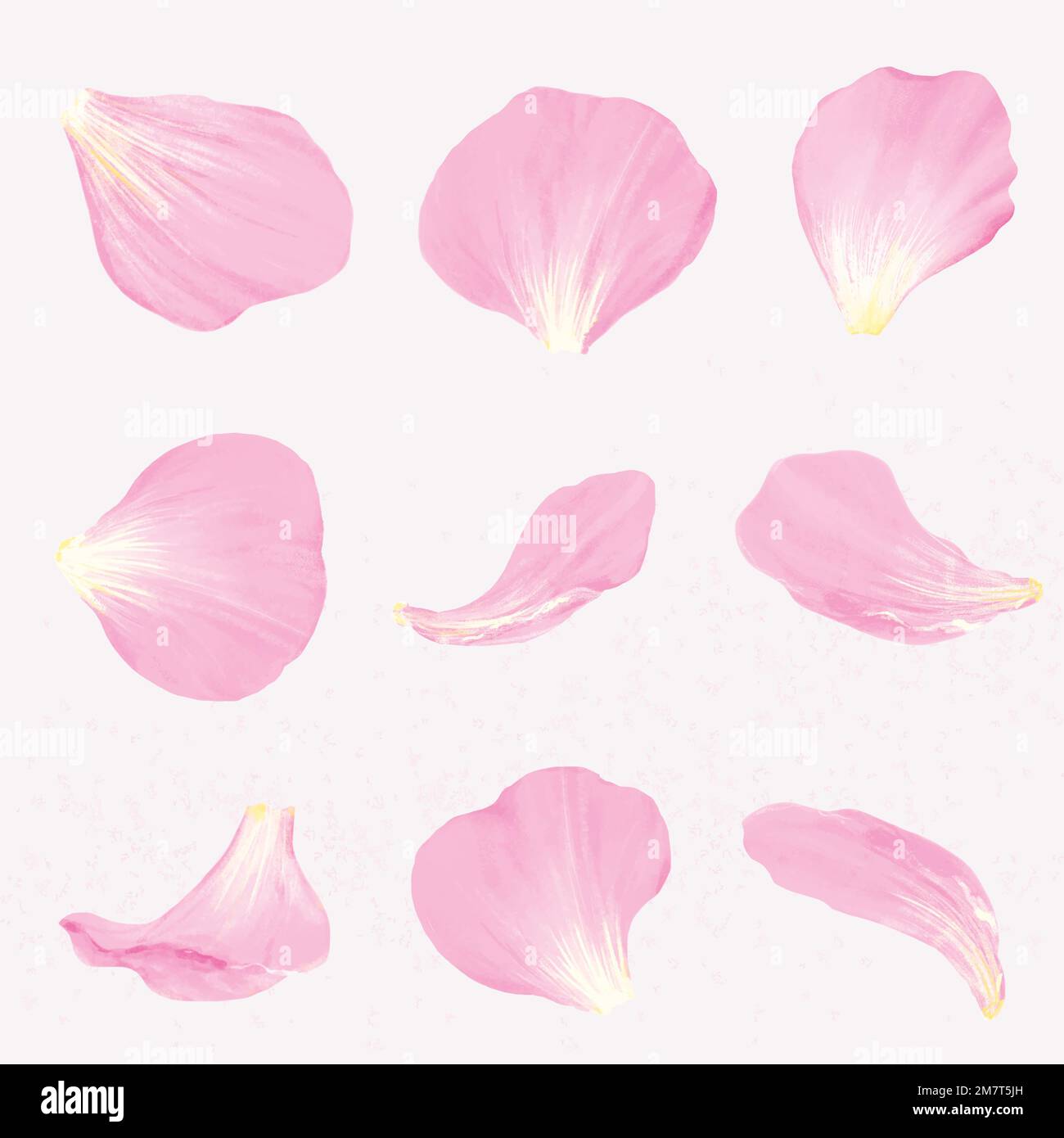 Pink flower petal illustration vector set Stock Vector Image & Art - Alamy