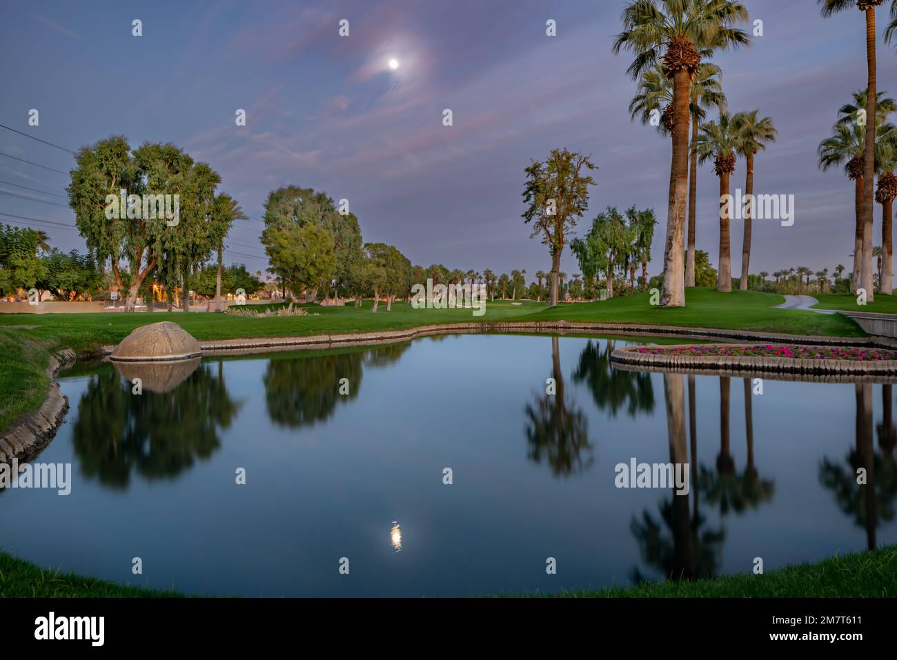 Scenic evening view of golf course with palm trees and reflection on ...