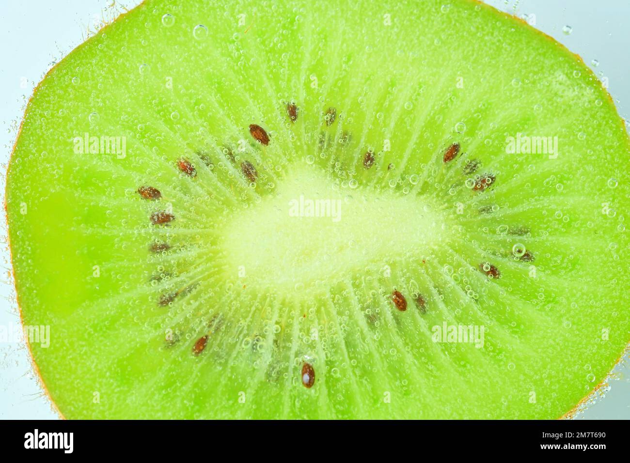 Fresh kiwi fruit slice in liquid with bubbles. Close-up of a kiwi fruit slice in soda water ...