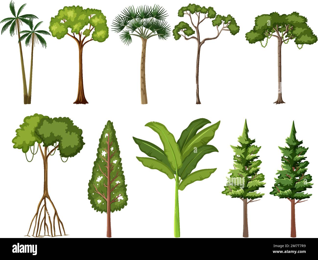 Set of tropical trees isolated illustration Stock Vector Image & Art ...