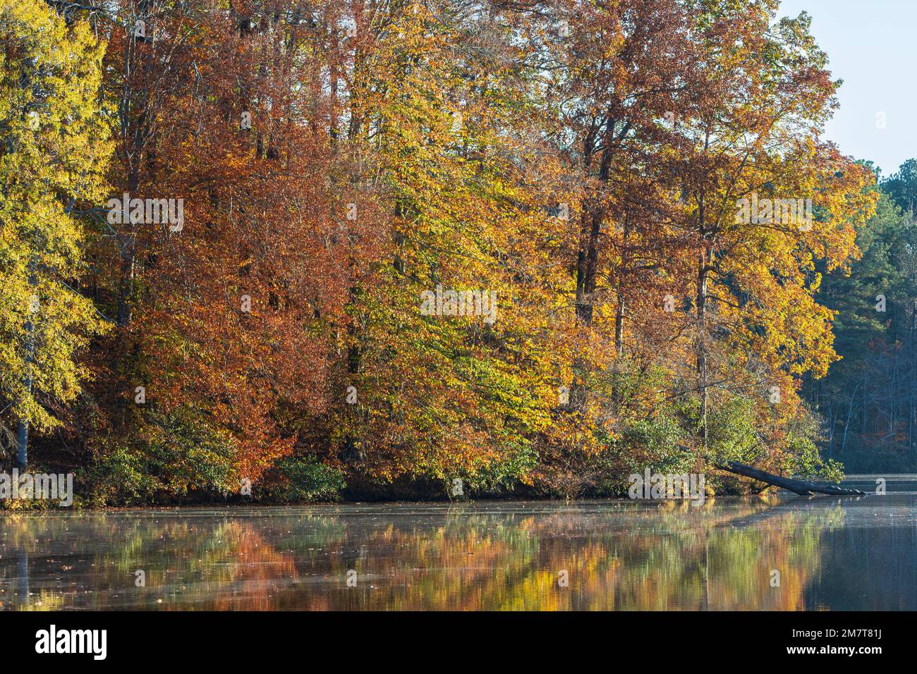 Calm lake reflecting fall colors hi-res stock photography and images ...
