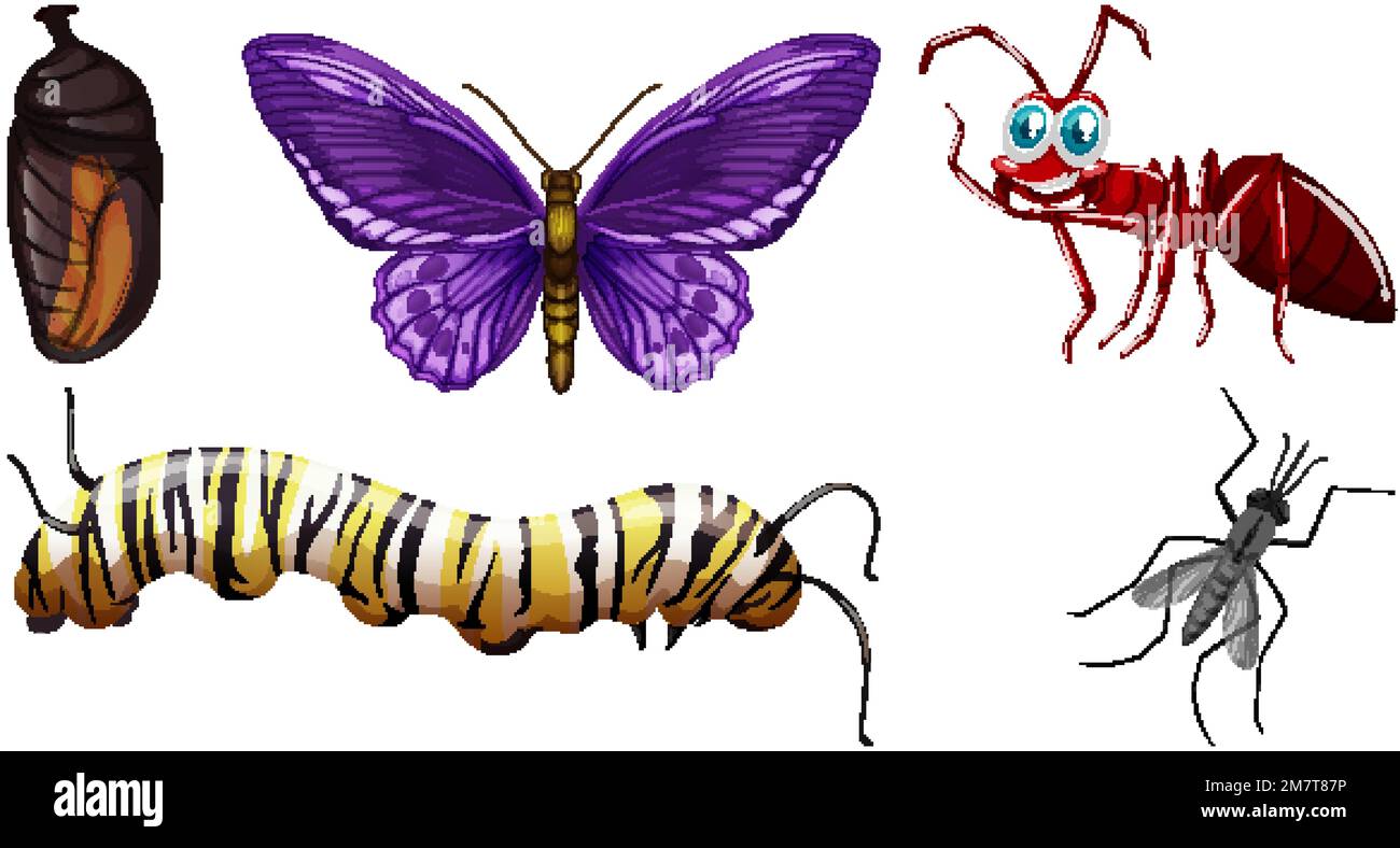 Different kinds insects animals hi-res stock photography and images - Alamy