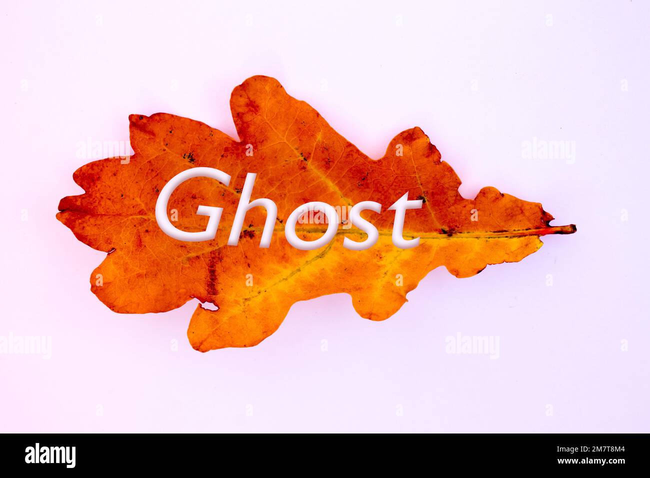 Autumn leaves, objects with Ghost text. Natural patterns, color design ...