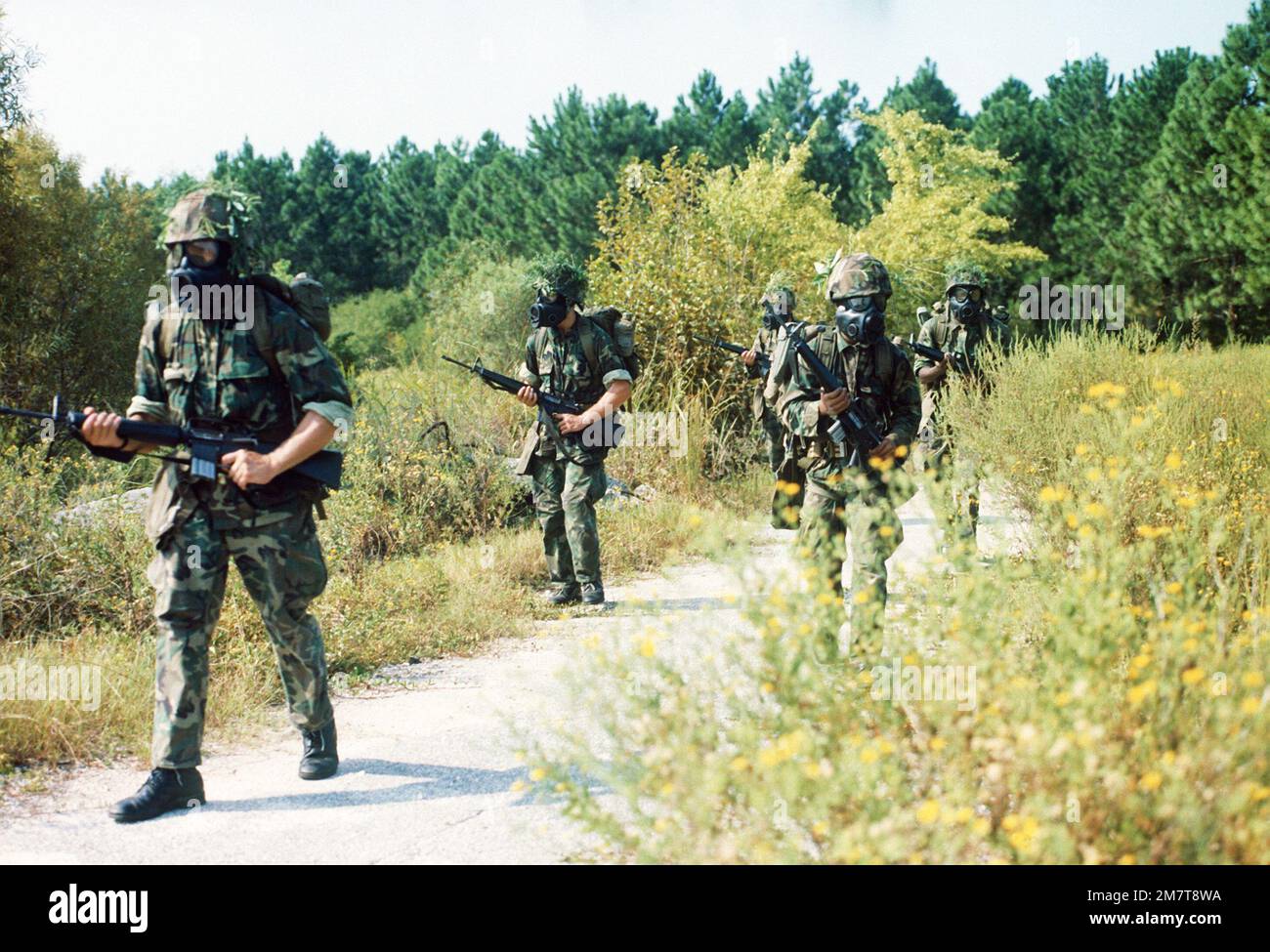 A fire team on patrol during a field exercise at Page Field, Marine ...