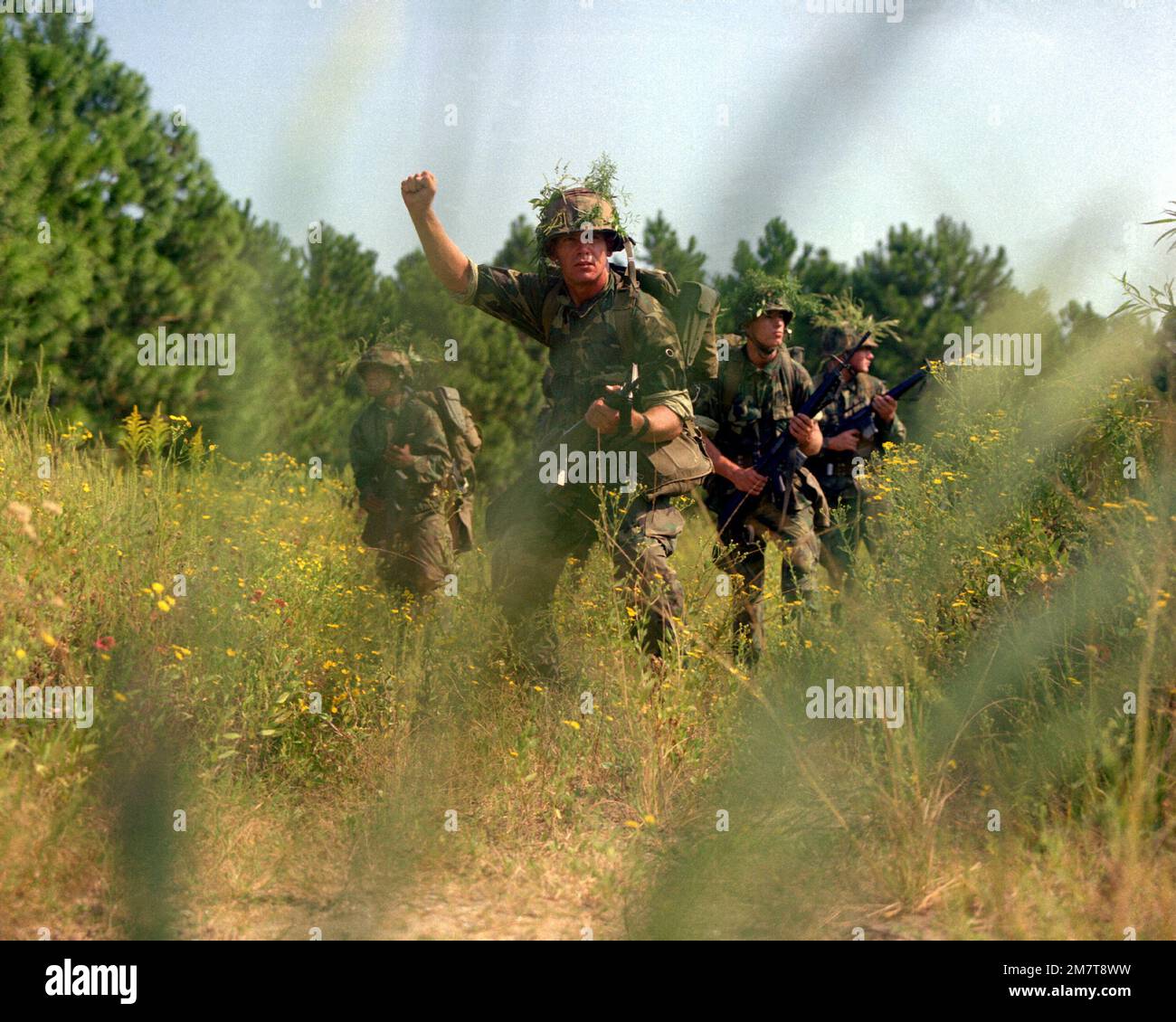 The fire team leader gives the hand signal to halt during a field ...