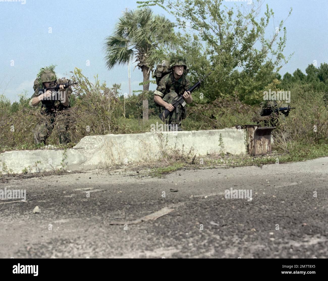 South island rifleman hi-res stock photography and images - Alamy