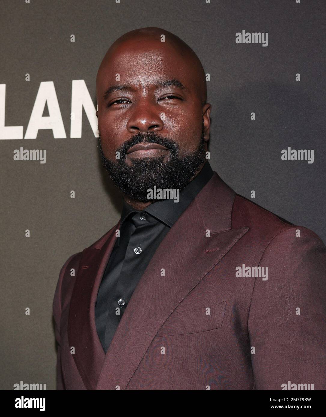 New York, NY, USA. 10th Jan, 2023. Mike Colter at arrivals for PLANE ...