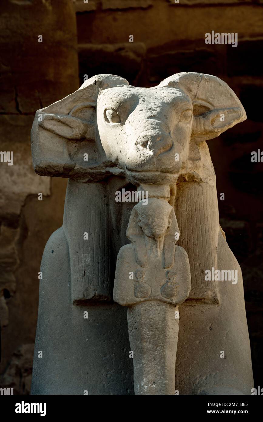 At the entrance to Karnak Temple the Avenue of Sphinxes, statues with ...