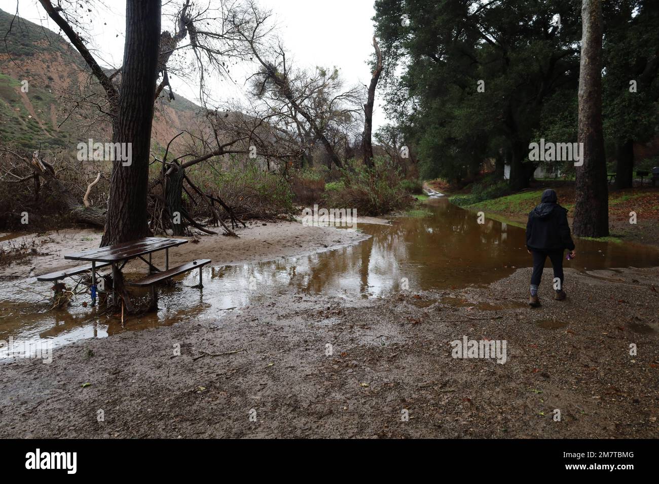 Santa Barbara, California, U.S.A. 10th Jan, 2023. A camper gazes at the ...