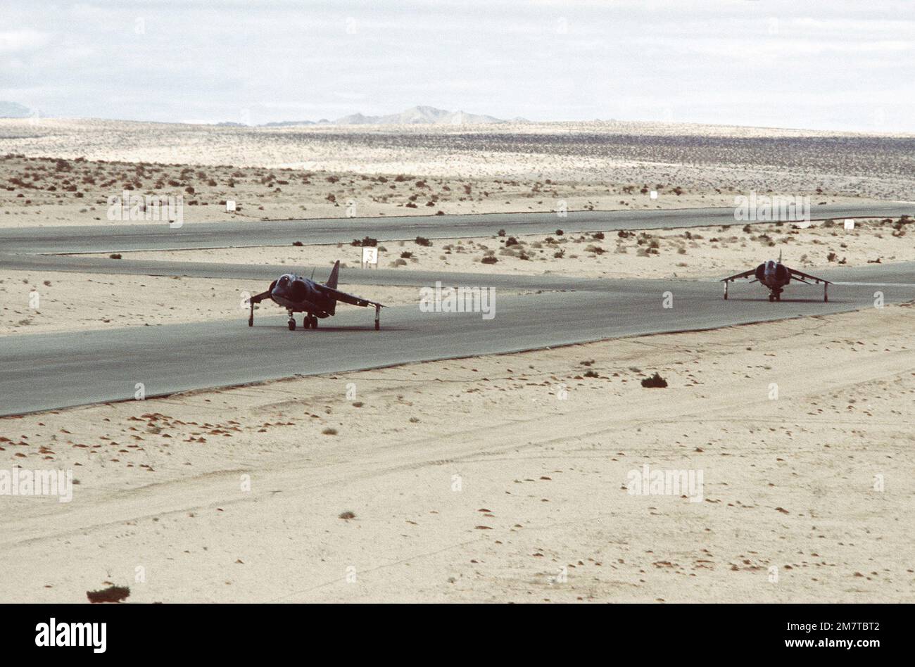 Wilson harrier hi-res stock photography and images - Alamy