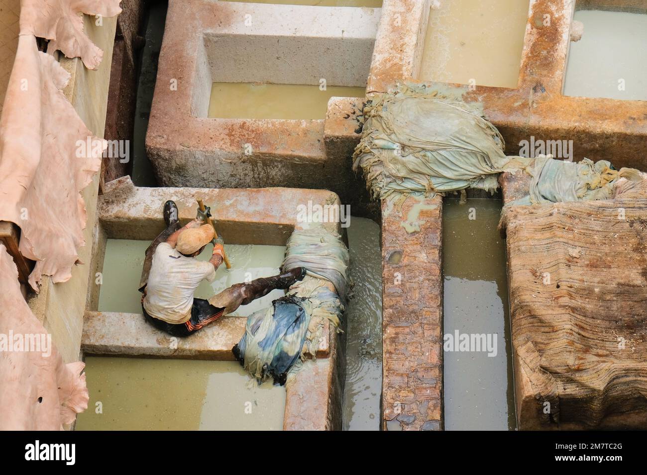 Fez, Morocco - worker soaks to soften animal hides at Chouara Tannery ...