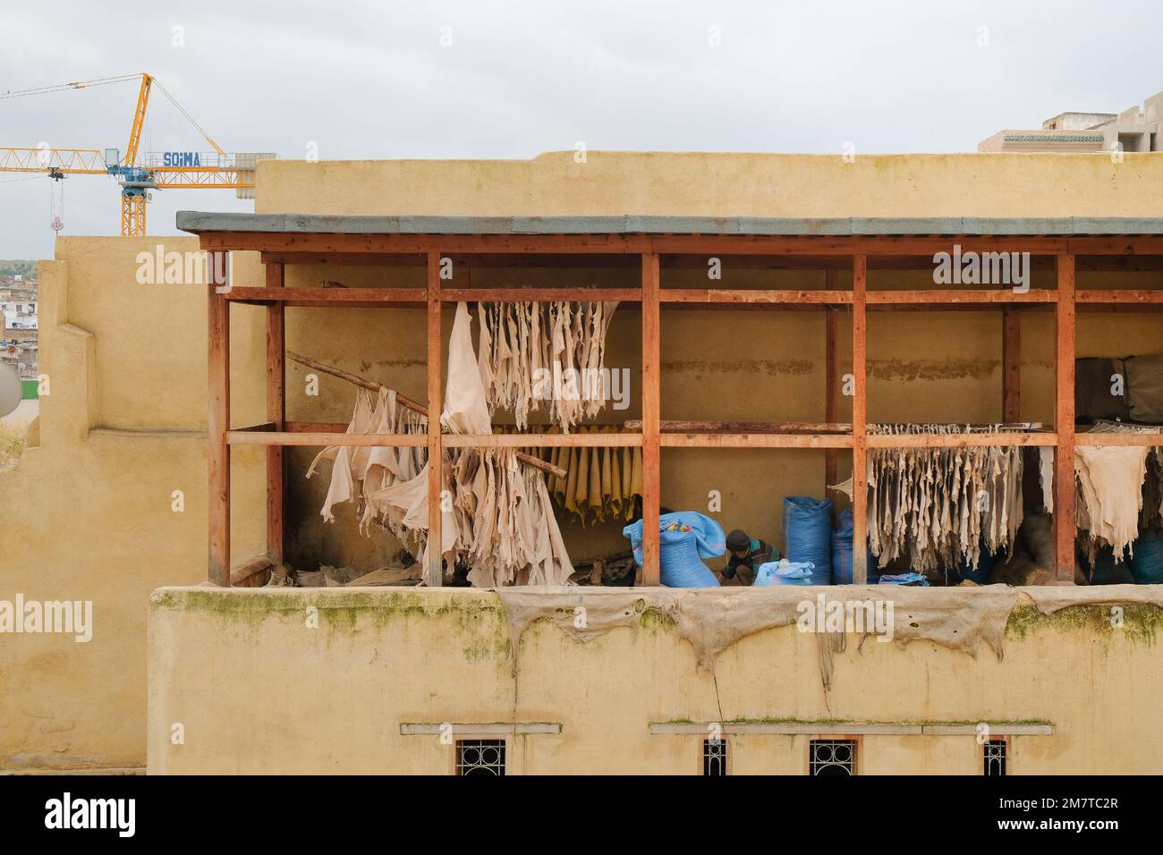 Fez, Morocco - male worker sorts out treated animal hides on a covered ...