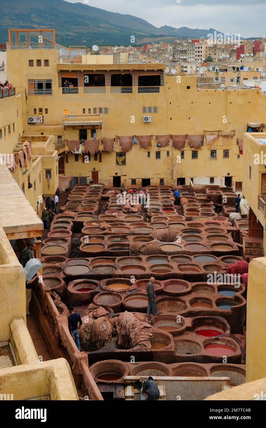 Fez, Morocco - aerial view of Chouara Tannery in Fes el Bali. Men soak ...