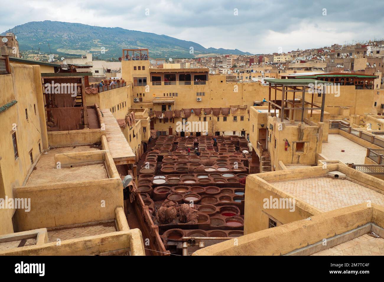 Fez, Morocco - aerial view of Chouara Tannery in Fes el Bali. Men soak ...
