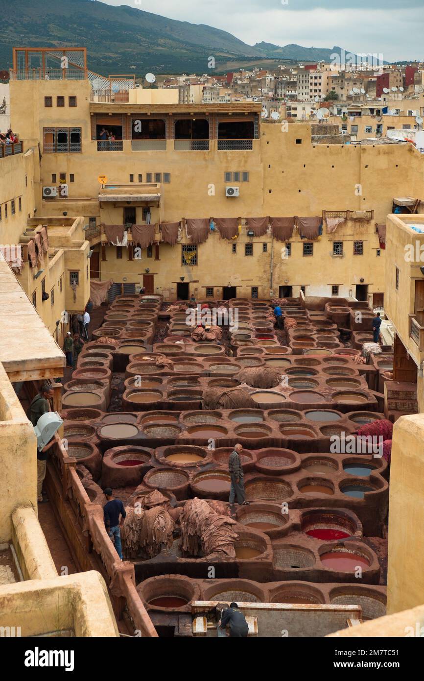 Fez, Morocco - aerial view of Chouara Tannery in Fes el Bali. Men soak ...