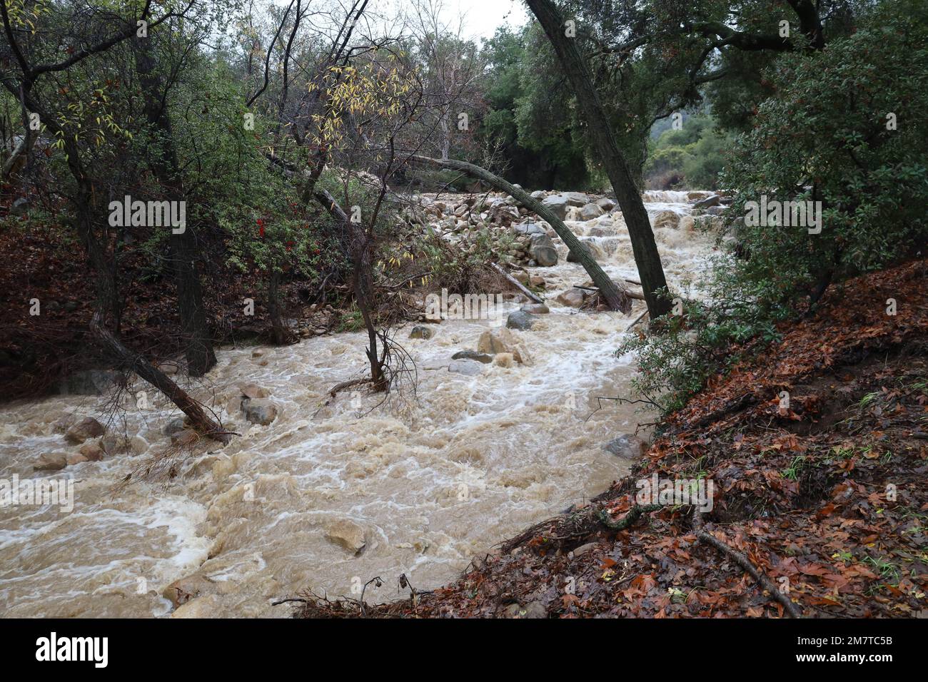Santa Barbara, California, U.S.A. 10th Jan, 2023. The usually dry river ...