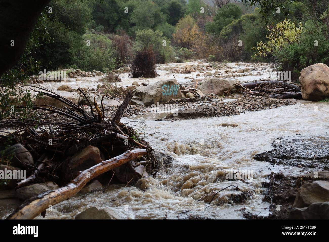 Santa Barbara, California, U.S.A. 10th Jan, 2023. Trees, rocks and ...