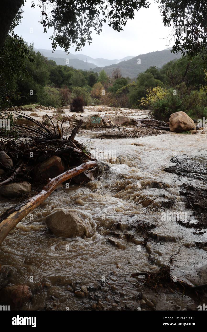 Santa Barbara, California, U.S.A. 10th Jan, 2023. Trees, rocks and ...