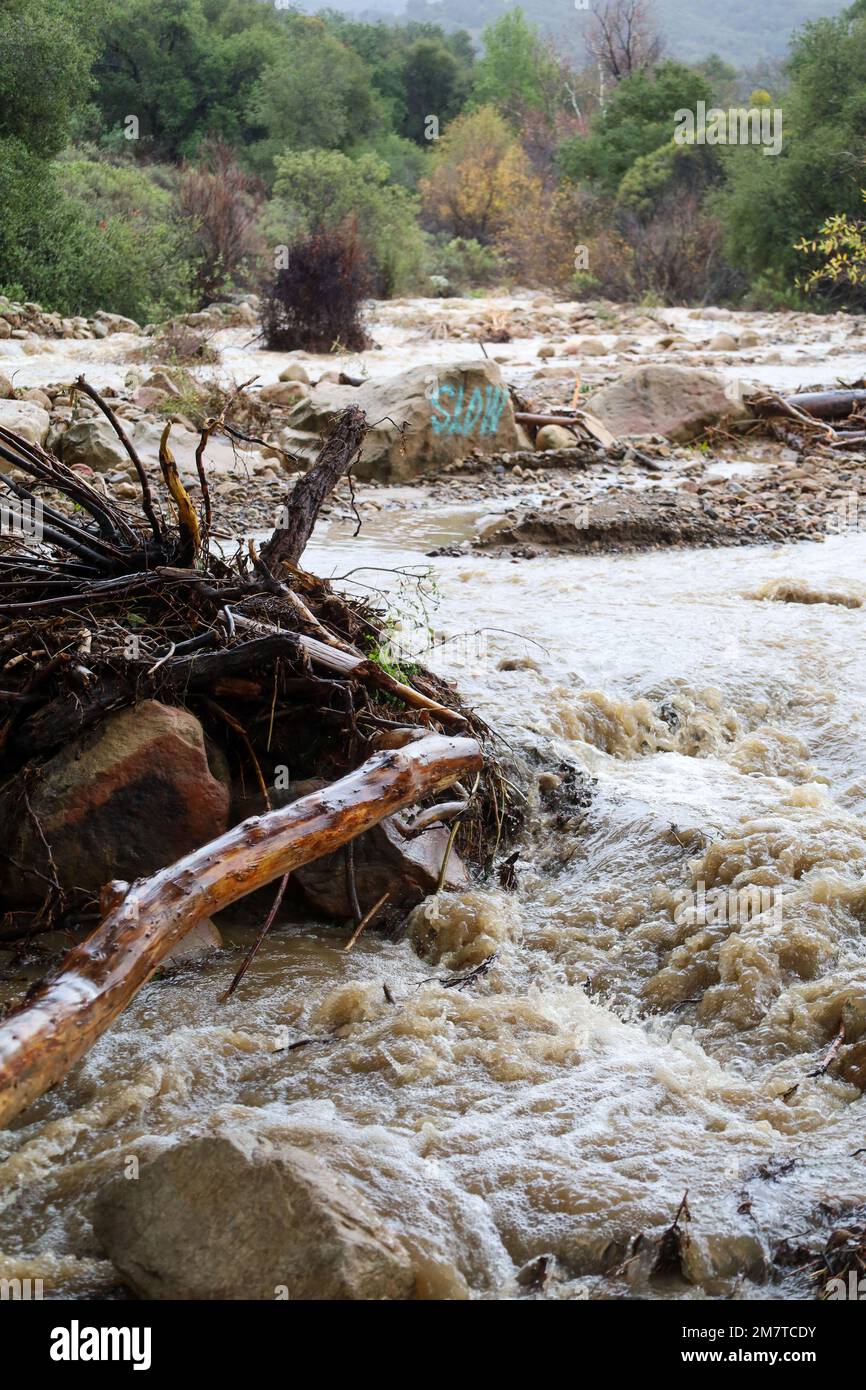 Santa Barbara, California, U.S.A. 10th Jan, 2023. Trees, rocks and ...