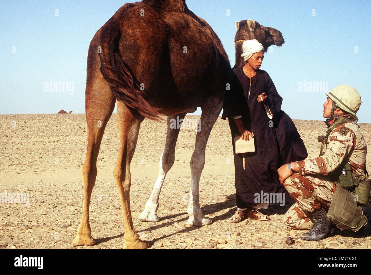 Soldier on a camel hi-res stock photography and images - Alamy